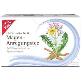 H&S Magen-Anregungstee Filterbeutel 20X2.0 g