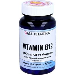 Hecht-Pharma Vitamin B12 500 &mu;g Gph Kapseln 90 St