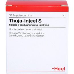 Heel Thuja Injeel S Ampullen 10 St
