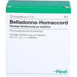 Heel Belladonna Homaccord Ampullen 10 St