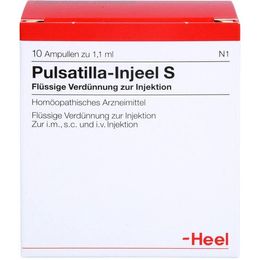 Heel Pulsatilla Injeel S Ampullen 10 St