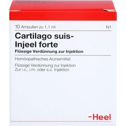Heel Cartilago suis Injeel forte Ampullen 10 St