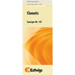 Kattwiga Synergon Komplex 137 Clematis Tropfen 50 ml