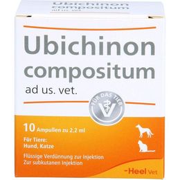 Heel Ubichinon compositum ad us.vet.Ampullen 10 St