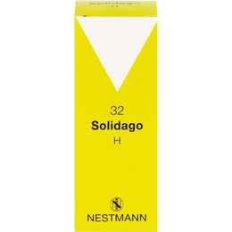 Nestmann Solidago H 32 Tropfen 50 ml