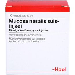 Heel Mucosa nasalis suis Injeel Ampullen 10 St