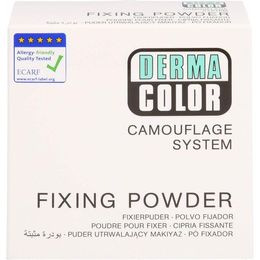 Dermacolor Camouflage Fixierpuder large P11 60 g