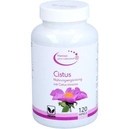 Cistus Incanus Vegi Kapseln 120 St