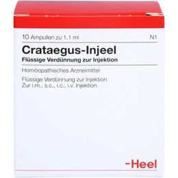 Heel Crataegus Injeel Ampullen 10 St