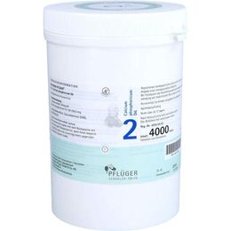 Pfl&uuml;ger&reg; Biochemie Pfl&uuml;ger 2 Calcium phosphoricum D 6 Tabl. 4000 St