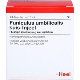 Heel Funiculus Umbilicalis suis Injeel Ampullen 10 St