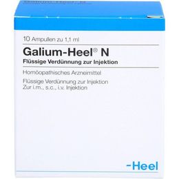 Galium Heel N Ampullen 10 St