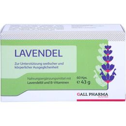 Hecht-Pharma Lavendel &Ouml;l Gph Kapseln 60 St
