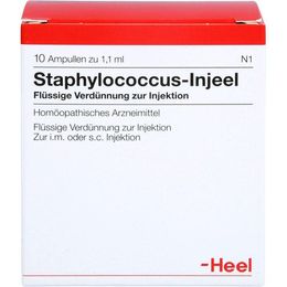 Heel Staphylococcus Injeel Ampullen 10 St
