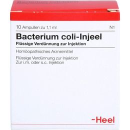 Heel Bacterium Coli Injeel Ampullen 10 St