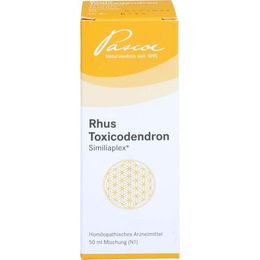 Pascoe Rhus Toxicodendron Similiaplex Tropfen 50 ml