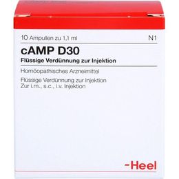 Heel Camp D 30 Ampullen 10 St