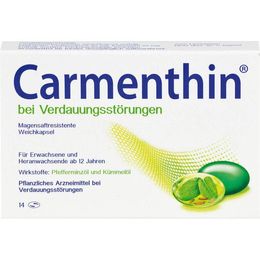 Carmenthin bei Verdauungsst&ouml;rungen 14 St