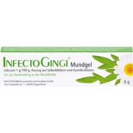 InfectoPharm&reg;  Infectogingi Mundgel 6 g