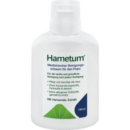 Hametum Reinigungsschaum 100 ml