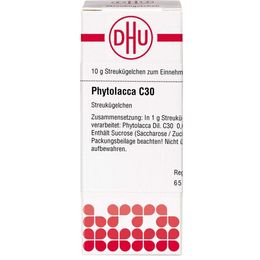 DHU-Arzneimittel Phytolacca C 30 Globuli 10 g
