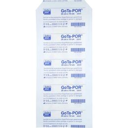 GOTA-POR Wundpflaster steril 100x250 mm 1 St