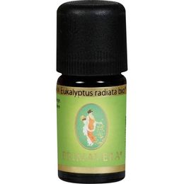 Primavera Eukalyptus &Ouml;l Radiata kbA 5 ml