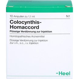 Heel Colocynthis Homaccord Ampullen 10 St