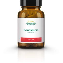 Pycnogenol Kapseln 120 St