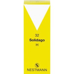 Nestmann Solidago H 32 Tropfen 100 ml