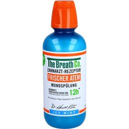 The Breath Co Mundsp&uuml;lung icy mint 500 ml