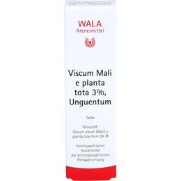 WALA Viscum Mali e planta tota 3% Unguentum 30 g
