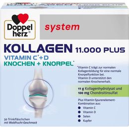 Queisser Doppelherz Kollagen 11.000 Plus system Ampullen 30X25 ml