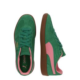 Puma Sneaker 'Palermo' Gr&ouml;&szlig;e 22 schilf / hellpink