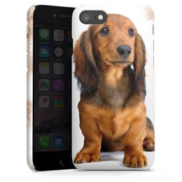 DeinDesign iPhone SE (2020) Handy Premium Case Smartphone Handyh&uuml;lle Schutzh&uuml;lle matt Dog Dachshund Pet Premium Case
