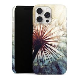 DeinDesign iPhone 15 Pro Max Handy Premium Case Smartphone Handyh&uuml;lle Schutzh&uuml;lle gl&auml;nzend Photography Dandelion Flowers Premium Case