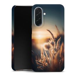 DeinDesign Galaxy A36 5G Handy Premium Case Smartphone Handyh&uuml;lle Schutzh&uuml;lle matt Sun Pampasgras Nature Premium Case