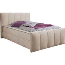 Boxbett Home Affaire "Boxbett Hanelore inkl. Bettkasten, Topper, Kopf- und Fu&szlig;teil", beige, B:152cm L:220cm, Komplettbetten, Boxbett mit Bettkasten und Fu&szlig;teil, inkl. Topper