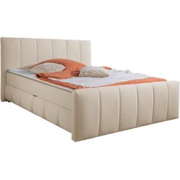 Boxbett Home Affaire "Boxbett Hanelore inkl. Bettkasten, Topper, Kopf- und Fu&szlig;teil", beige, B:212cm L:220cm, Komplettbetten, Boxbett mit Bettkasten und Fu&szlig;teil, inkl. Topper
