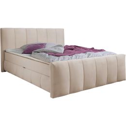 Boxbett Home Affaire "Boxbett Hanelore inkl. Bettkasten, Topper, Kopf- und Fu&szlig;teil", beige, B:172cm L:220cm, Komplettbetten, Boxbett mit Bettkasten und Fu&szlig;teil, inkl. Topper