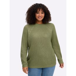 sheego Gro&szlig;e Gr&ouml;&szlig;en Stehkragenpullover mit Raglan-&Auml;rmeln, schilf, Gr&ouml;&szlig;e 52 - Damen