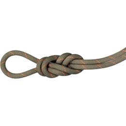 Mammut 9.9 Gym Workhorse Classic Rope Kletterseil - Gr&ouml;&szlig;e 40 - braun