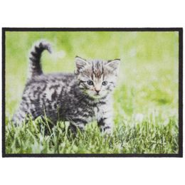 toom Sauberlaufmatte 'Baby Katze' mehrfarbig 50 x 70 cm
