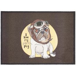 toom Sauberlaufmatte 'Pilot Pug' mehrfarbig 39 x 58 cm