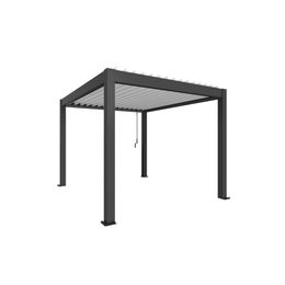 BioHort Pergola dunkelgrau metallic/wei&szlig; 3 x 3,5 m
