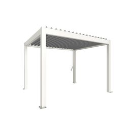 BioHort Pergola wei&szlig;/silberfarben 3,5 x 3 m