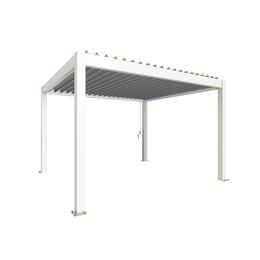 BioHort Pergola wei&szlig;/silberfarben 4 x 3,5 m
