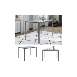 VICCO Esszimmertisch "Grand Metall" Grau, 120 x 70 x 75 cm, moderner Esstisch, Glas