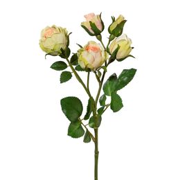 Gasper Deko-Blume POLYANTROSE