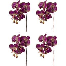 Kunstorchidee Creativ green "Orchidee Phalaenopsis", lila, H:44cm, Kunstpflanzen, mit real-touch-Bl&uuml;ten
